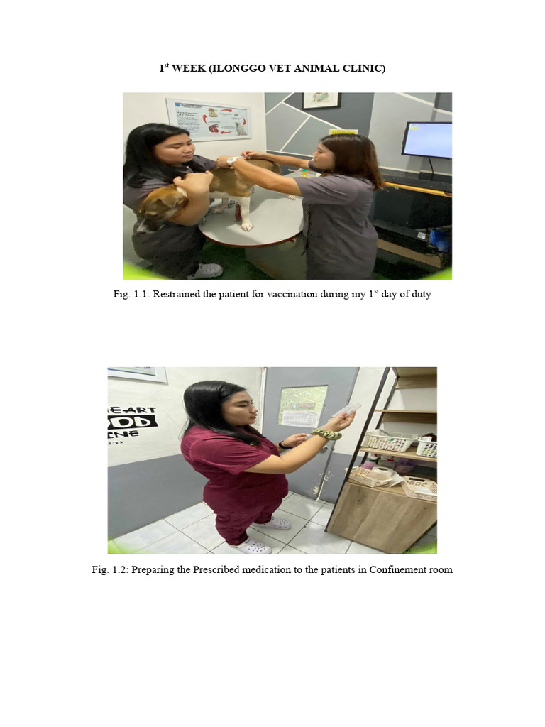 Faja - Kimberly - OJT Daily Journal | PDF | Vaccines | Surgery