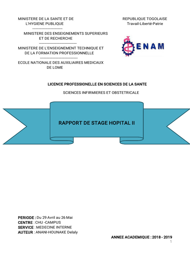 Rapport de stage infirmier 2019 | PDF