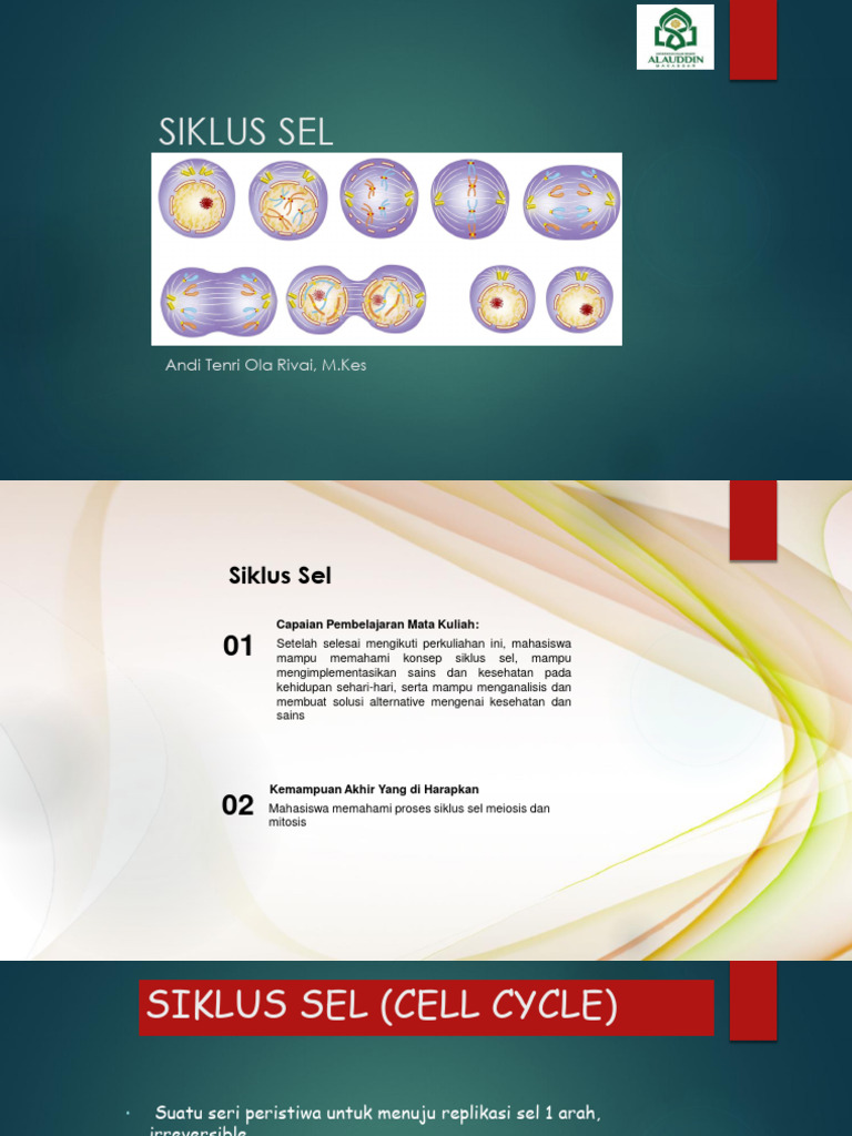 Siklus Sel | PDF