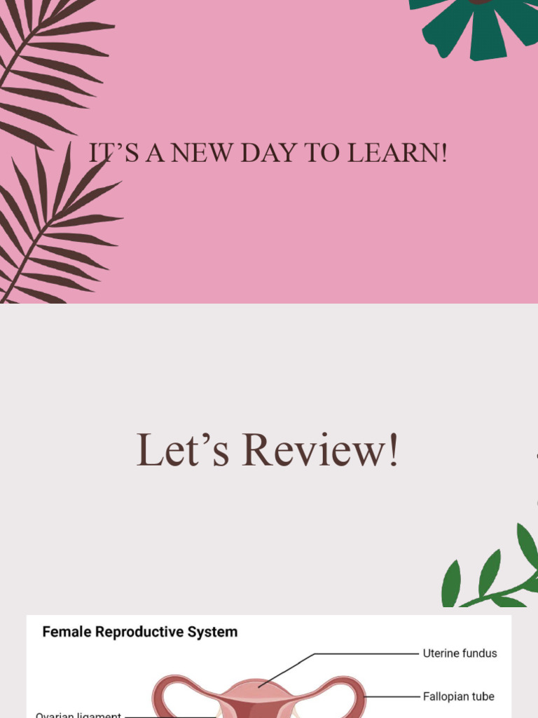 Menstrual Cycle Pdf Menstrual Cycle Luteinizing Hormone