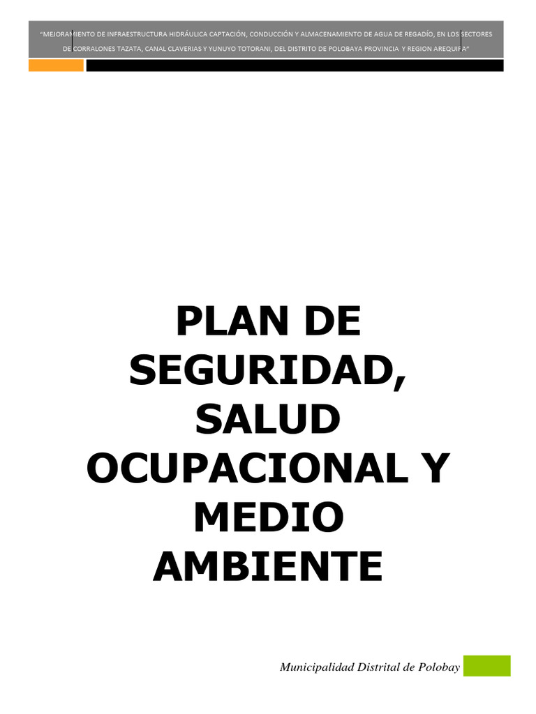 PLAN de Seguridad y Salud Ocupacional | PDF | Seguridad y salud ocupacional | Casco