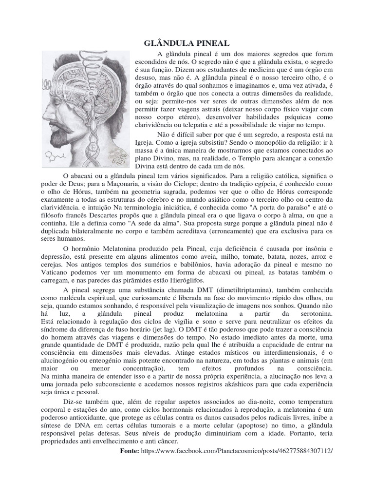Glândula Pineal | PDF | Apoptose