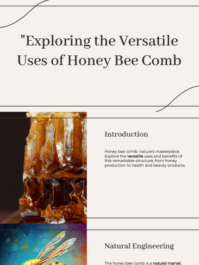 Versatile Uses of Honey Bee Comb | PDF