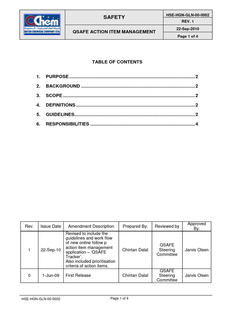 QSAFE Action Item Management Guidelines Rev-1 | PDF | Behavior | Computing