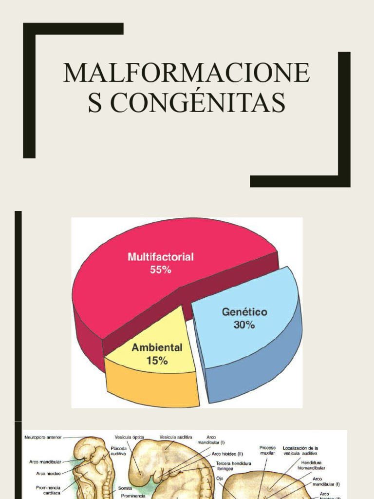 Malformaciones Congénitas: Tipos y Tratamientos | PDF | Pie ...