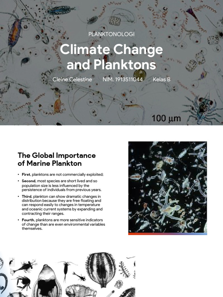 Cleine Celestine - PPT Planktonologi | PDF | Phytoplankton | Plankton