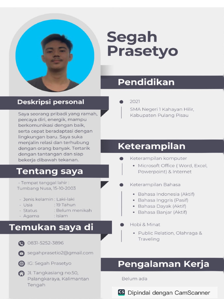 CV Segah Prasetyo | PDF