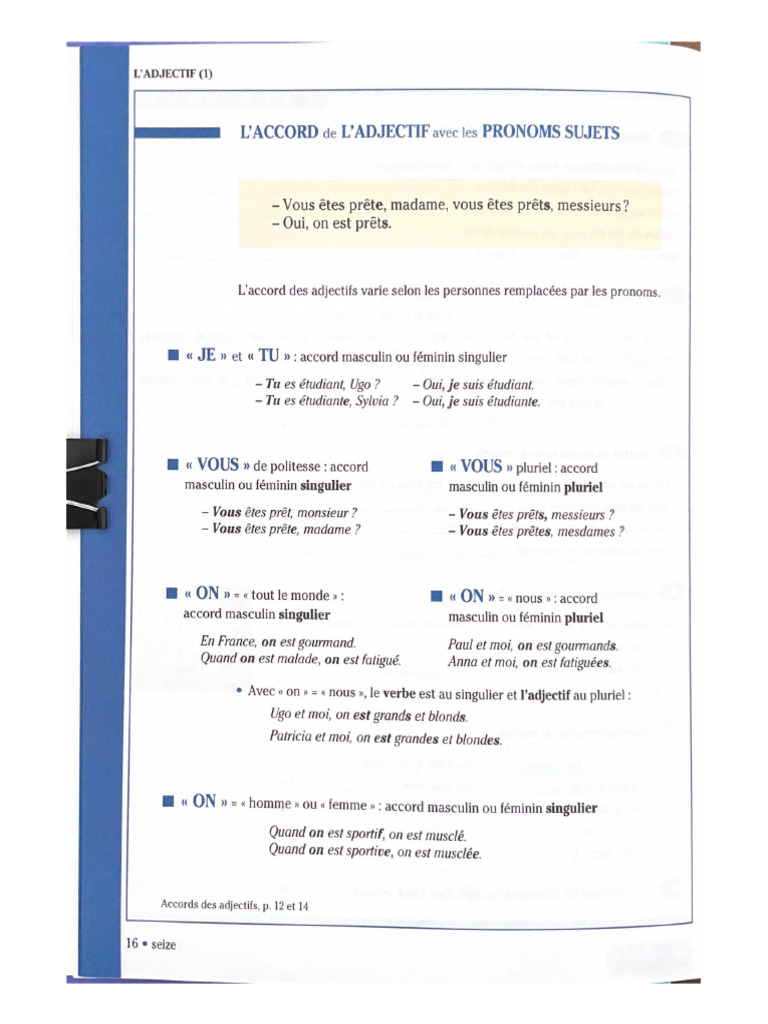 L'ACCORD de L'ADJECTIF Avec Les PRONOMS SUJETS | PDF