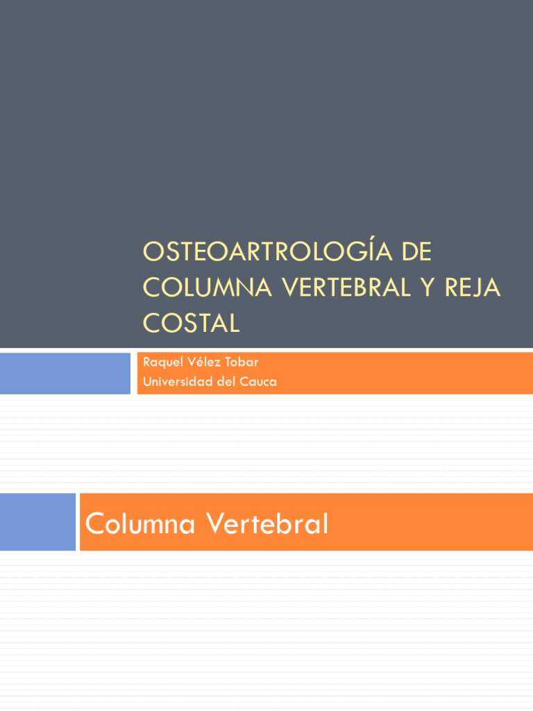 Columna y Reja Costal | PDF | Tórax | La columna vertebral