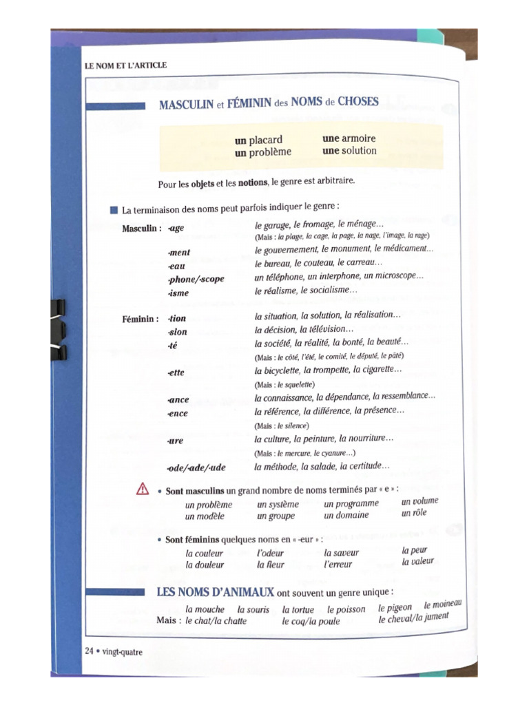 Le Nom Et L'article | PDF