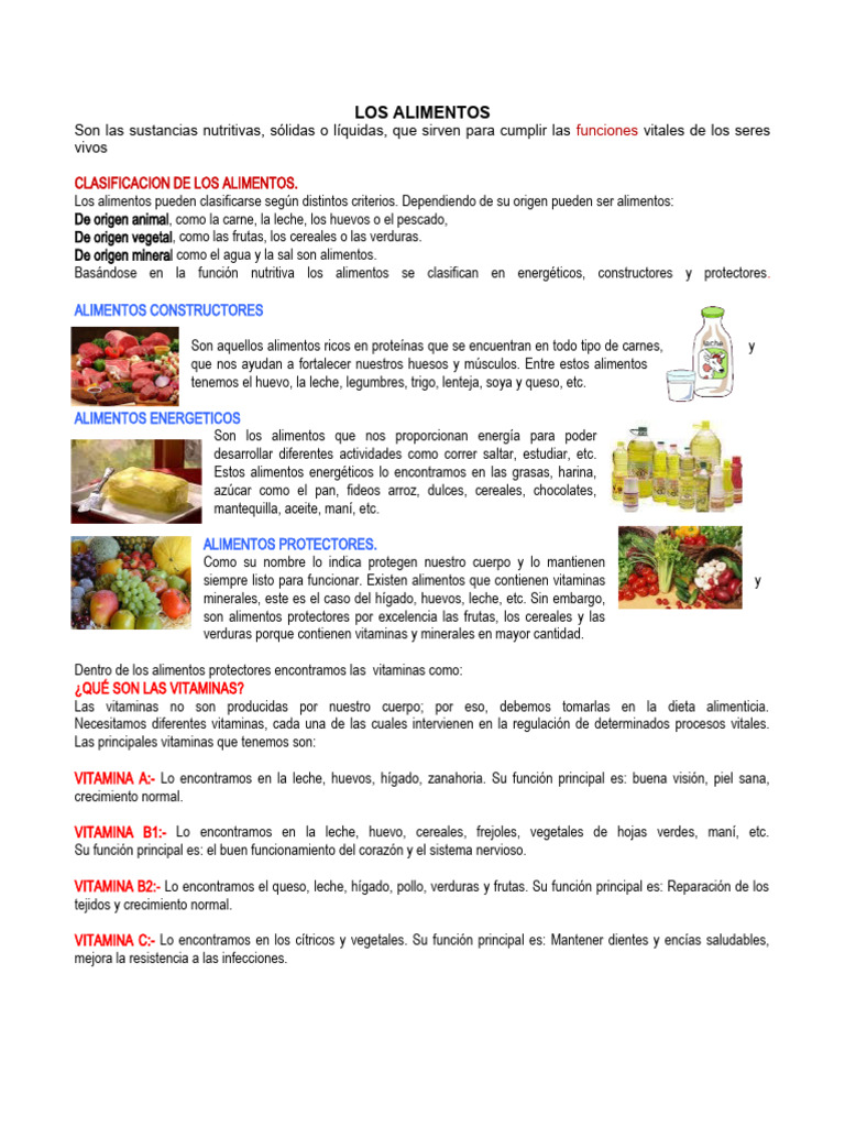 Clasificacion de Los Alimentos | PDF | Alimentos | Vegetales
