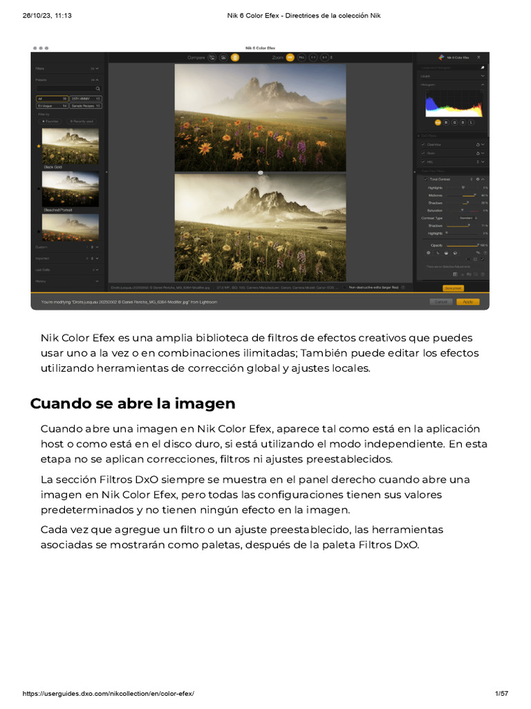 2 Nik 6 Color Efex - Directrices de La Colección Nik | PDF | Color | Sombra