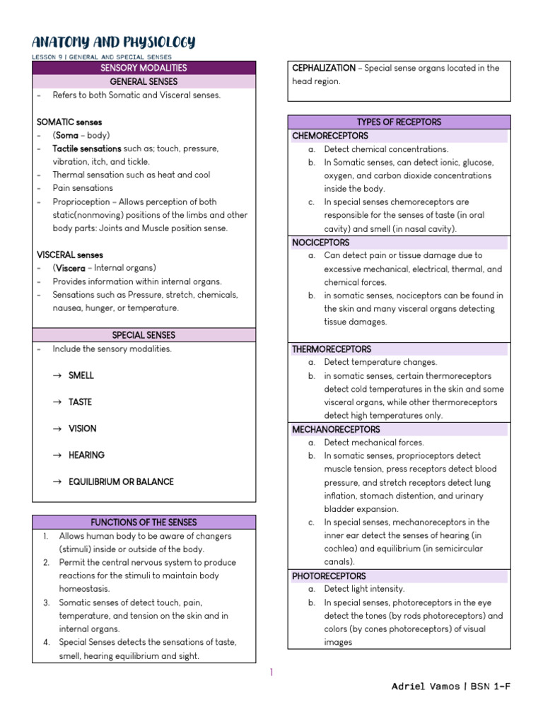 General and Special Senses Transes | PDF | Senses | Ear