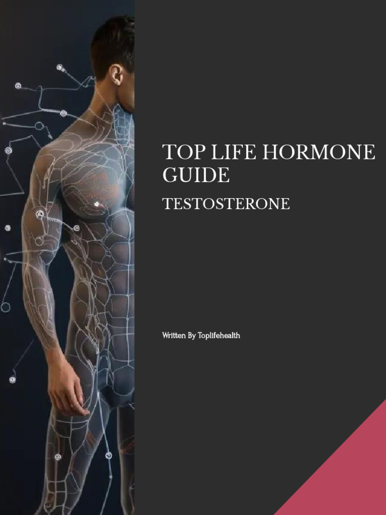 Testosterone: A Natural Boosting Guide | PDF | Fat | Milk