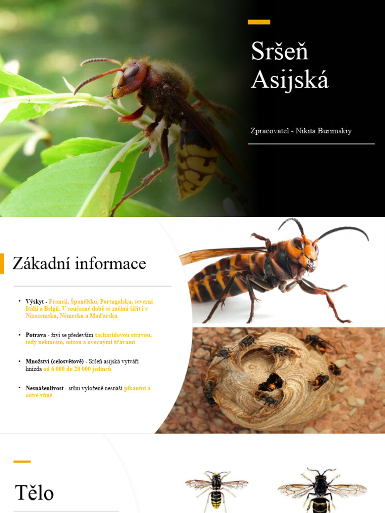 Srsen Prirodopis | PDF