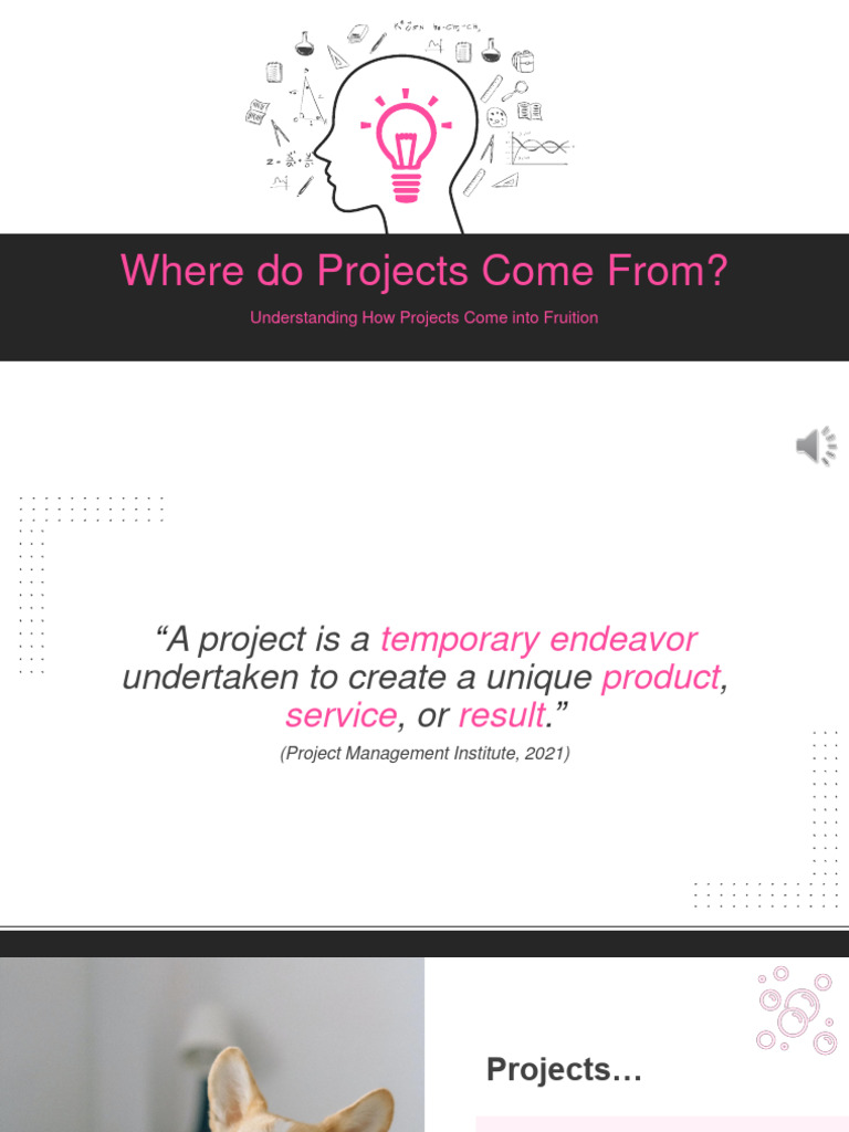 Sources and Types of Project Initiation | PDF | Project Management ...