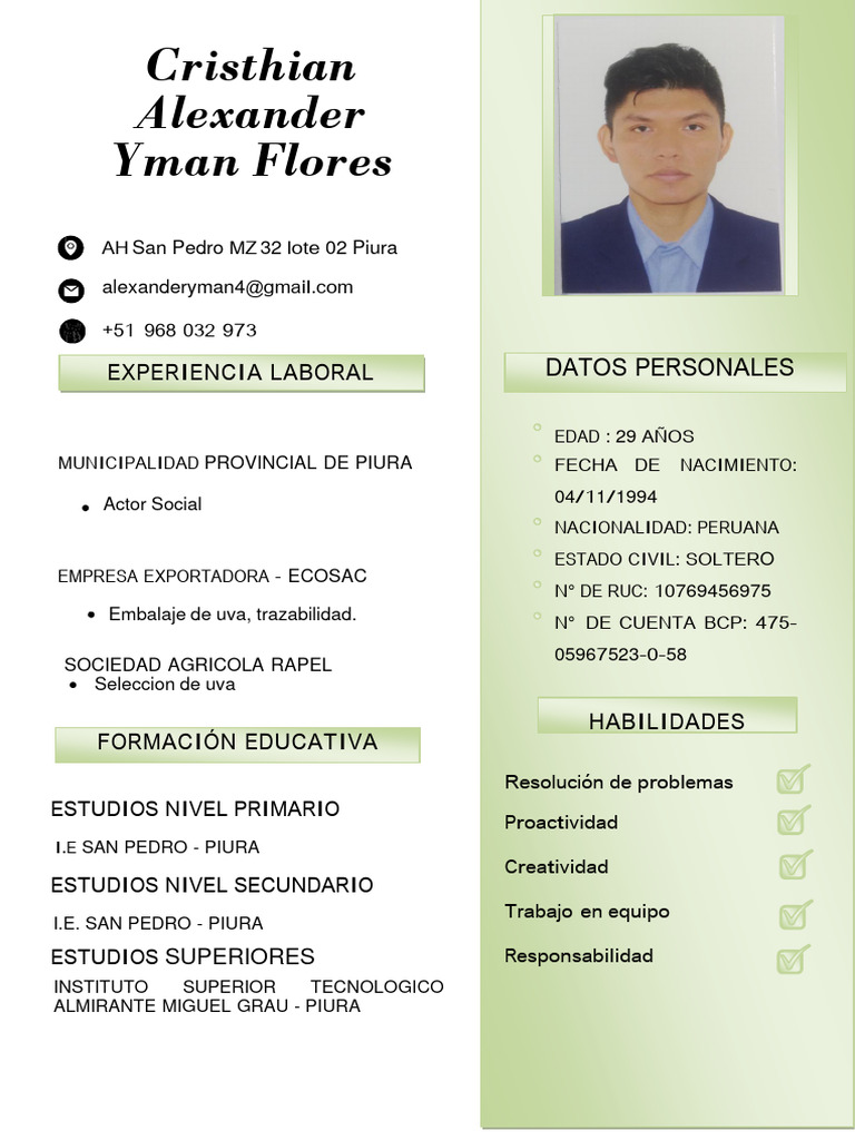 Curriculum Vitae Profesional - Yman Flores | PDF