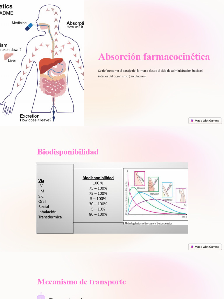 Absorcion Farmacocinetica | PDF