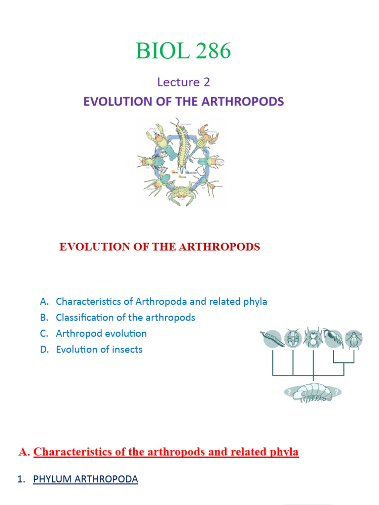 BIOL 286 Lecture 2 ARTHROPOD EVOLUTION With Annotations | PDF | Arthropods