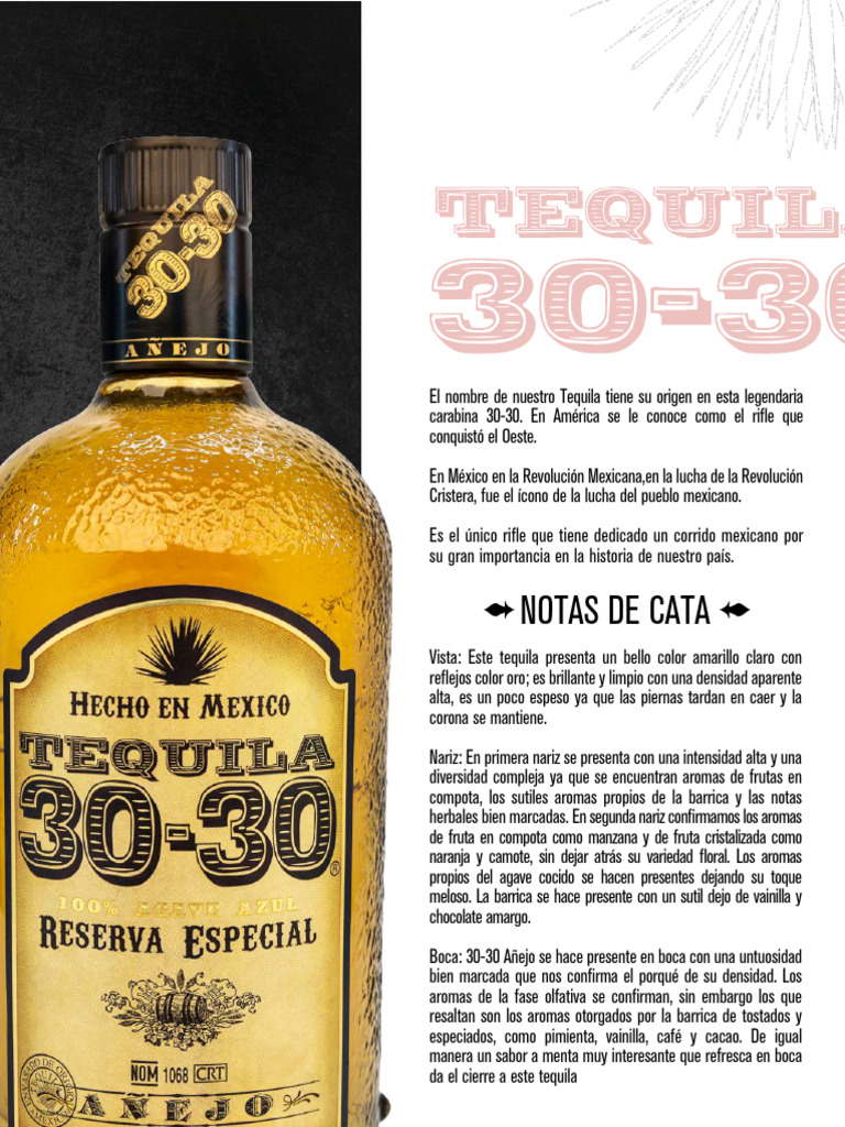 3030 Anejo | PDF