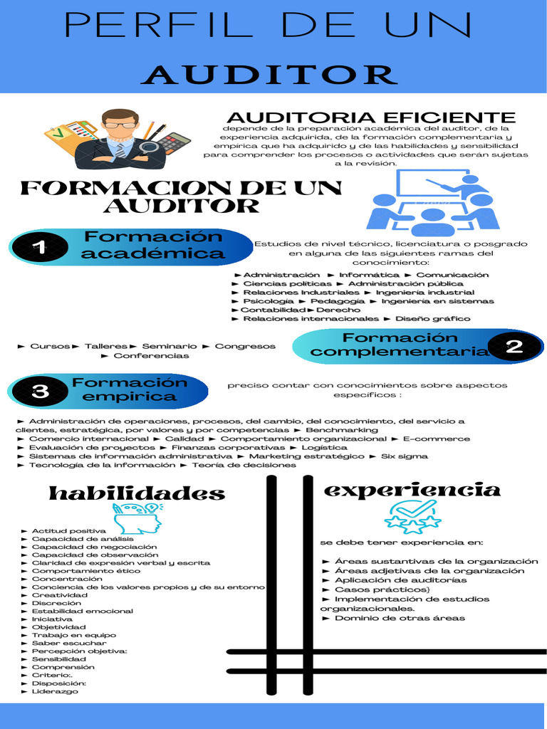 Perfil Del Auditor | PDF | Experiencia | Comportamiento organizacional