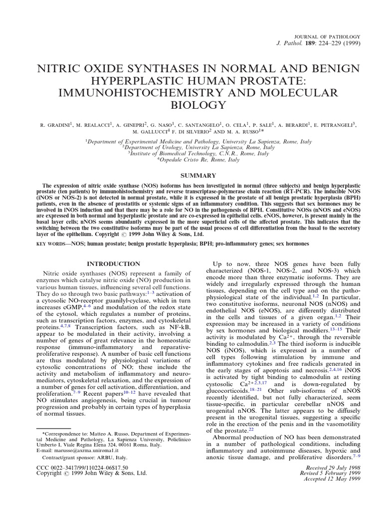 Nitric Oxide Synthases in Normal and Benign Hyperplastic Human Prostate: Immunohistochemistry ...