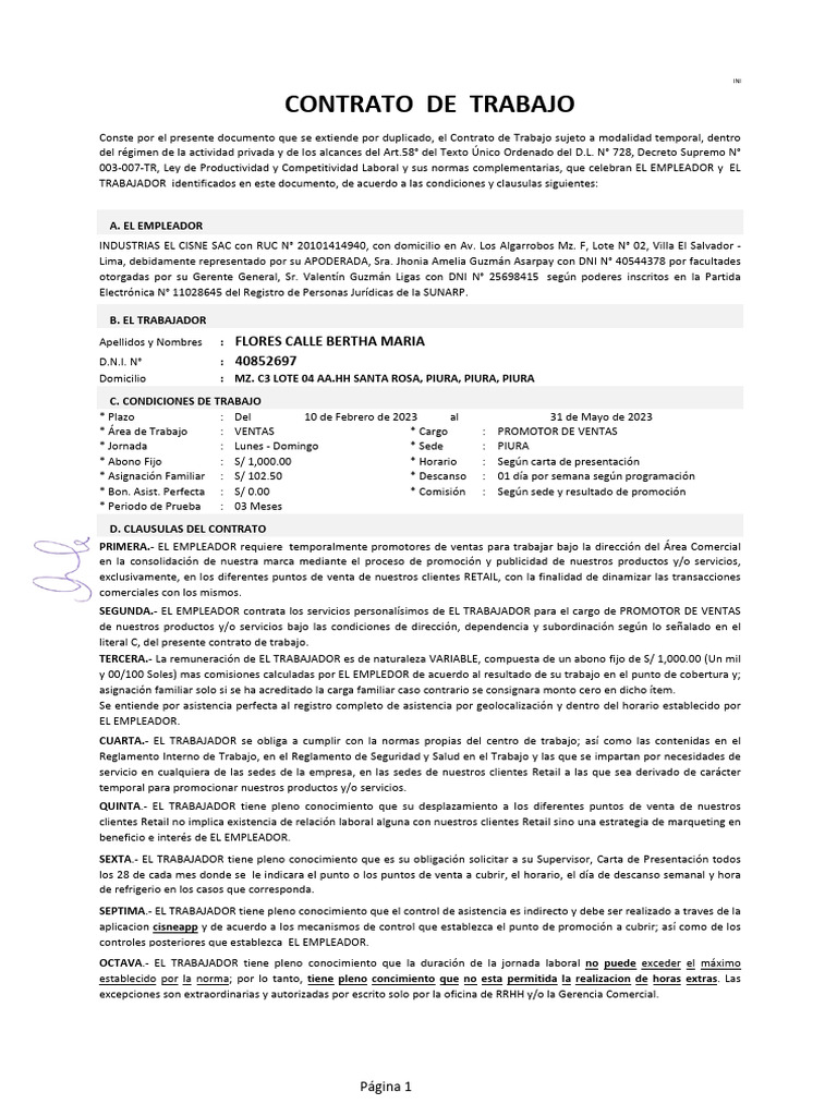 Ini - Flores Calle Bertha Maria | PDF | Derecho laboral | Labor