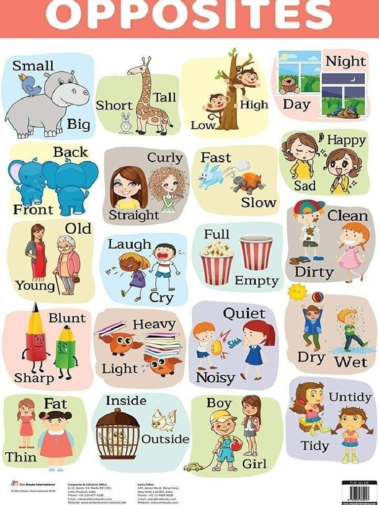 Adjectif Anglais | PDF