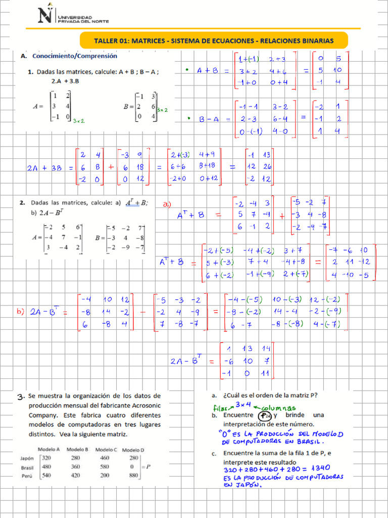 Ejercicios y Problemas Resueltos - Taller Matrices y Sistema de Ecuaciones | PDF