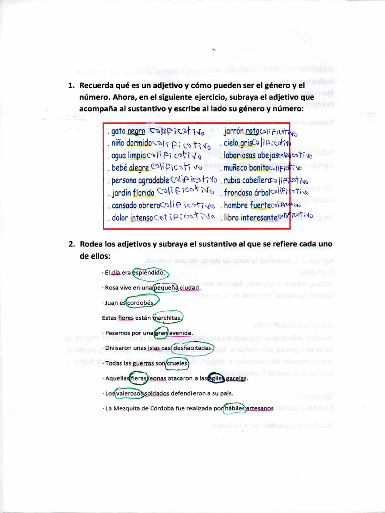 Lengua - Clasificación de Adjetivos - 01 | PDF
