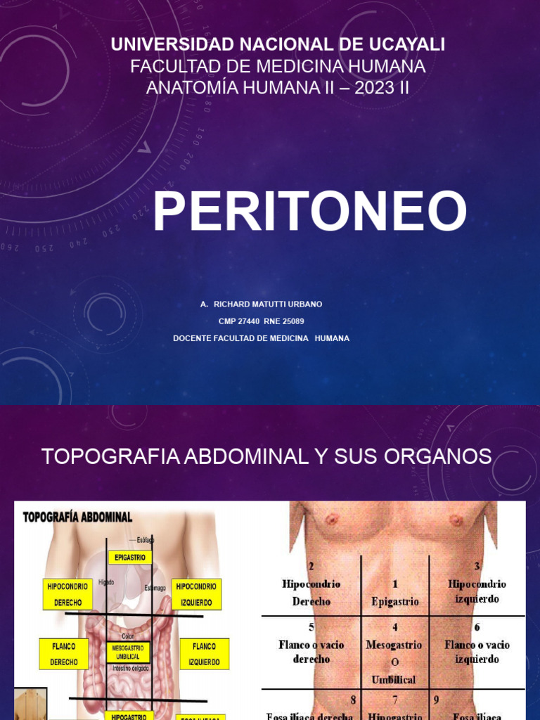 Peritoneo Anato II 2023 | PDF | Abdomen | Peritoneo