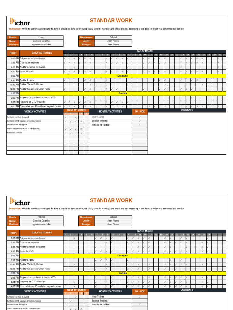 Estandar de Trabajo | PDF