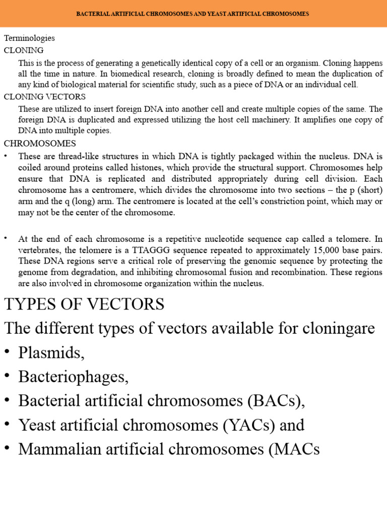 BCH 405 Bac and Yac | PDF | Vector (Molecular Biology) | Plasmid