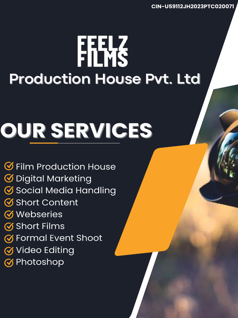 Feelz Films Production House | PDF | Digital Marketing | Mass Media