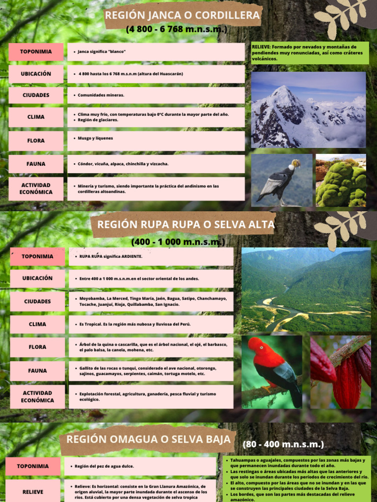 Las 8 Regiones Naturales Del Perú | PDF | Geografía Física | Ciencias ...