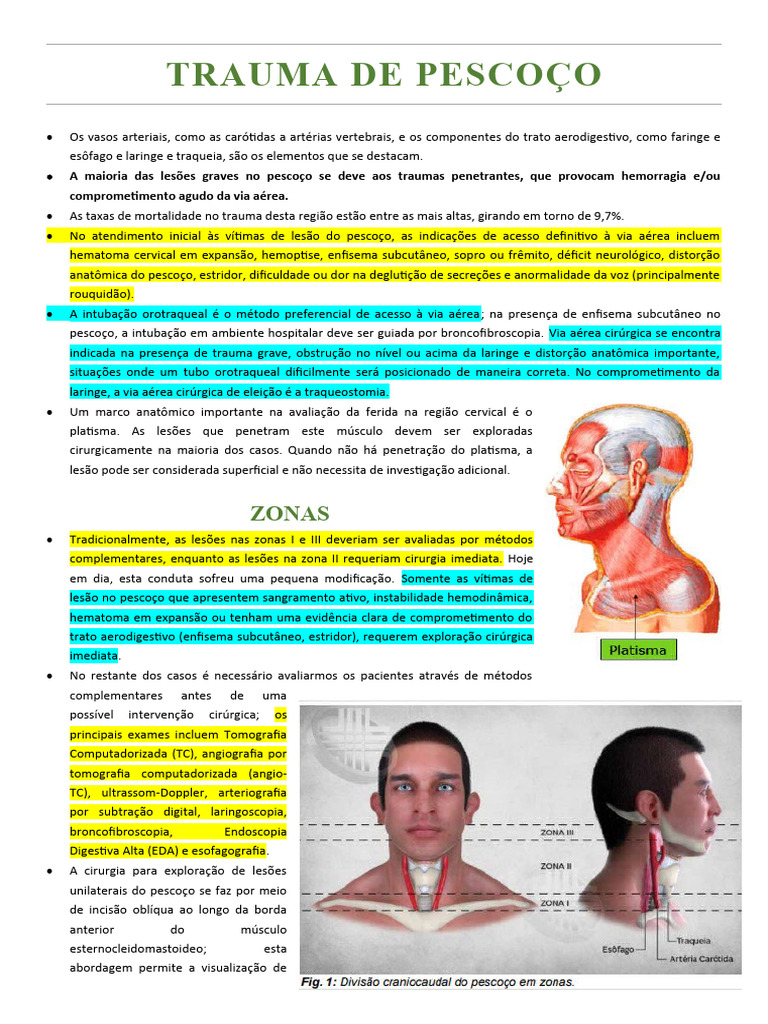 Trauma de Pescoço e Face | PDF | Laringe | Anatomia