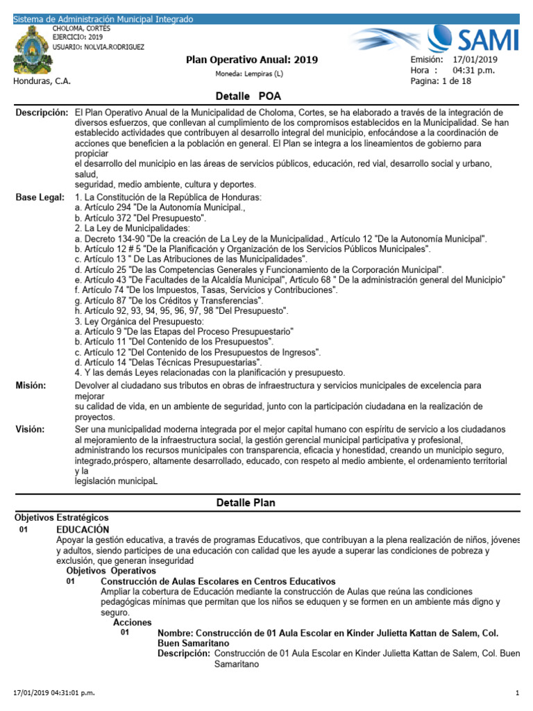 Plan Operativo Anual 2019 (POA) | PDF | La carretera | Alcantarillado