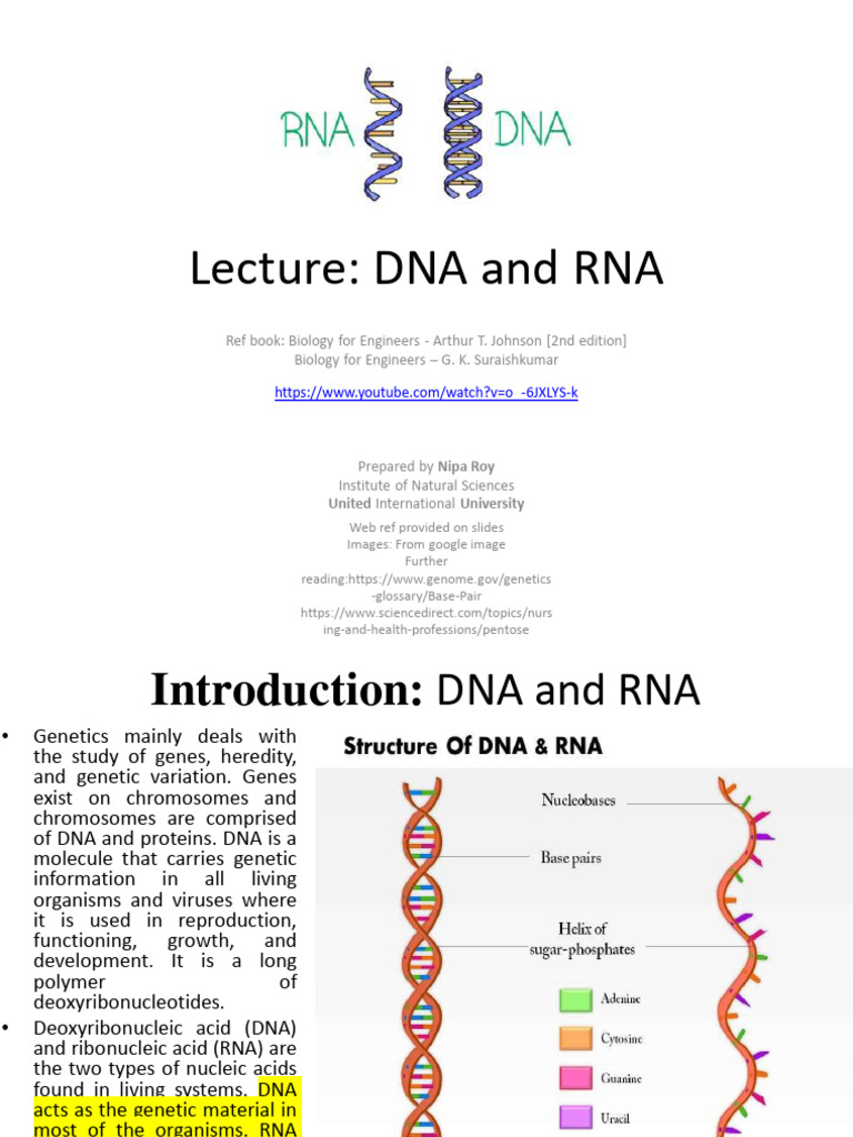 DNA and RNAm Marking | PDF | Genetic Code | Dna