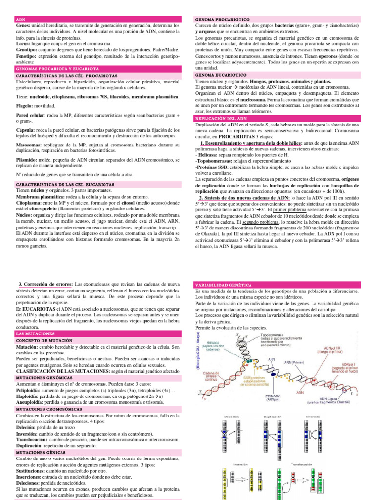 Bloque B | PDF | Rna | Adn