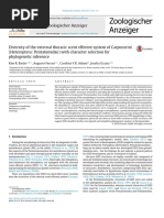 Animal Kingdom - Mnemonics | PDF | Aquatic Animals | Organisms
