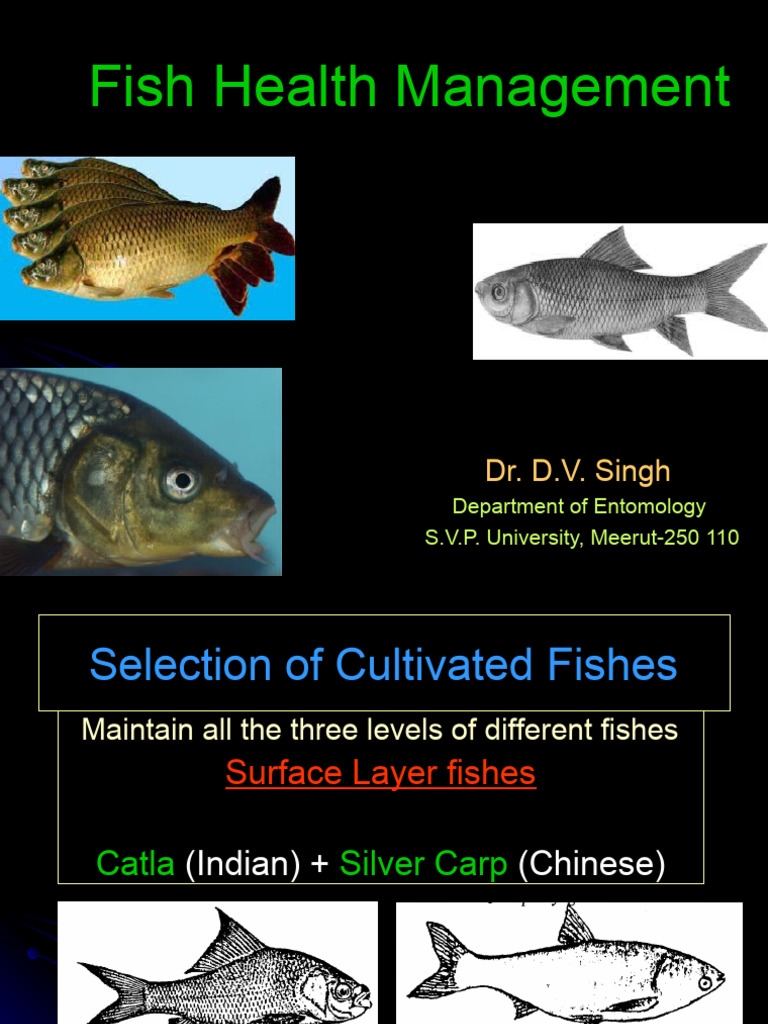 Fish Disease & Management | PDF | Fish | Water