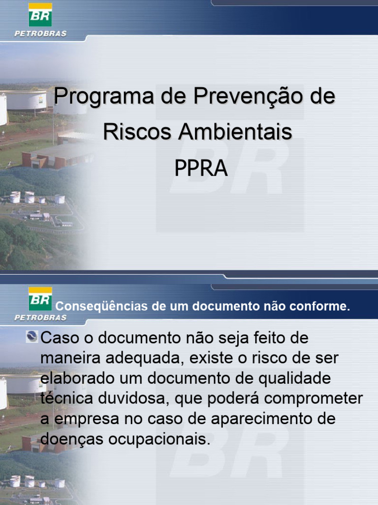 Como Elaborar PPRA | PDF