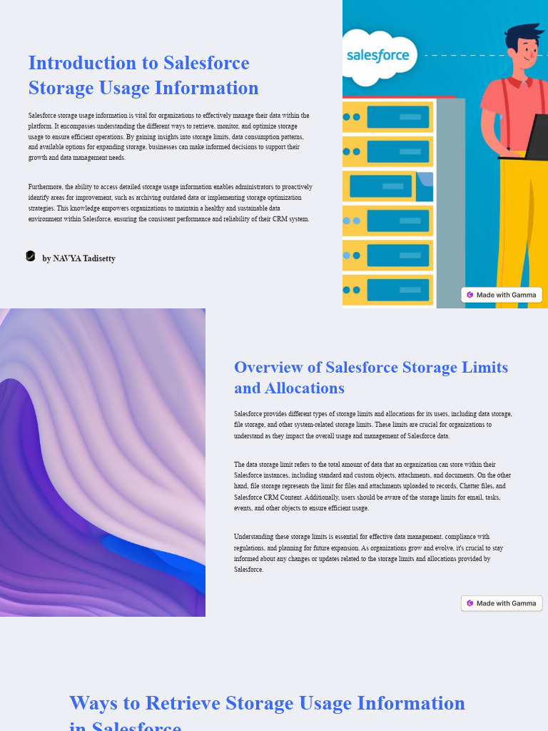 Introduction To Salesforce Storage Usage Information | PDF | Information | Data
