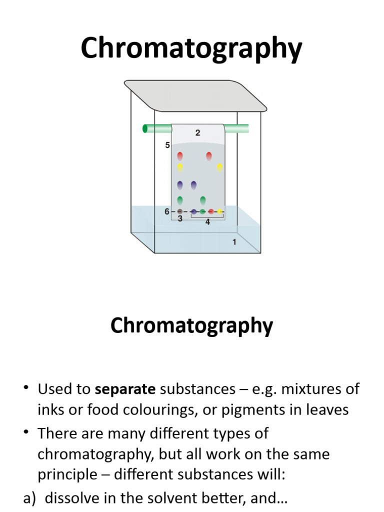 Chromatography Basics for Beginners | PDF
