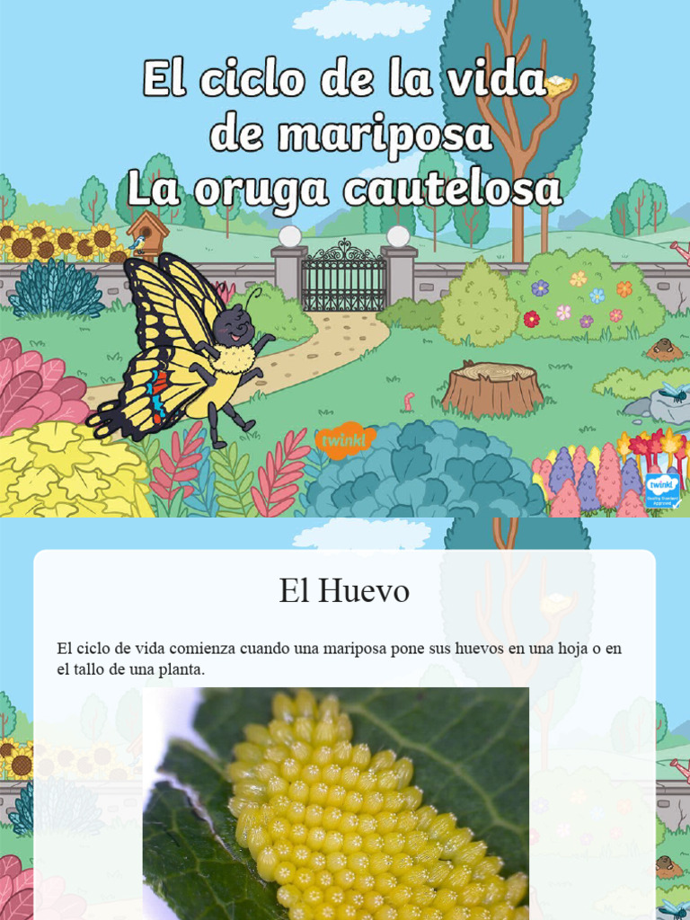 Ciclo de Vida de la Mariposa | PDF