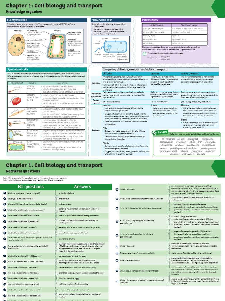 Knowledge Organiser: Eukaryotic Cells Prokaryotic Cells Microscopes ...