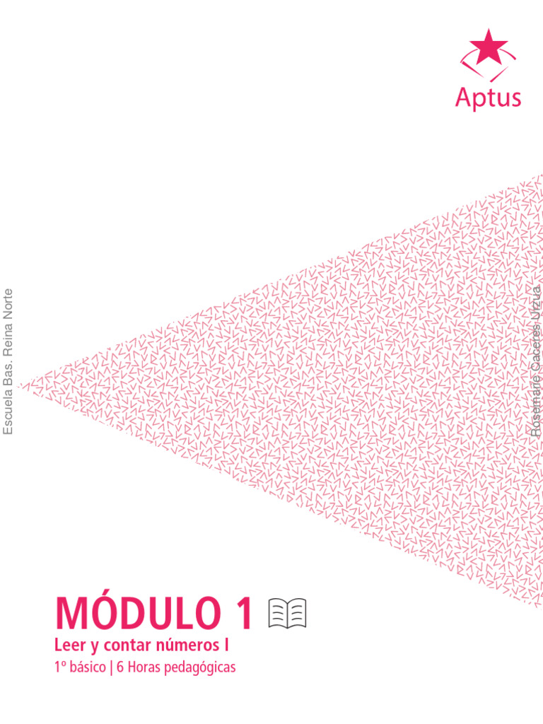 1 - 2023 1 Basico Matematica Modulo 1 Leer y Contar Números I - Cuaderno de Trabajo Del Alumno | PDF