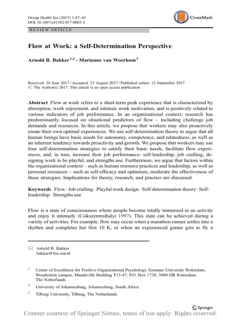 Flow at Work A Self-Determination Perspective | PDF | Flow (Psychology ...