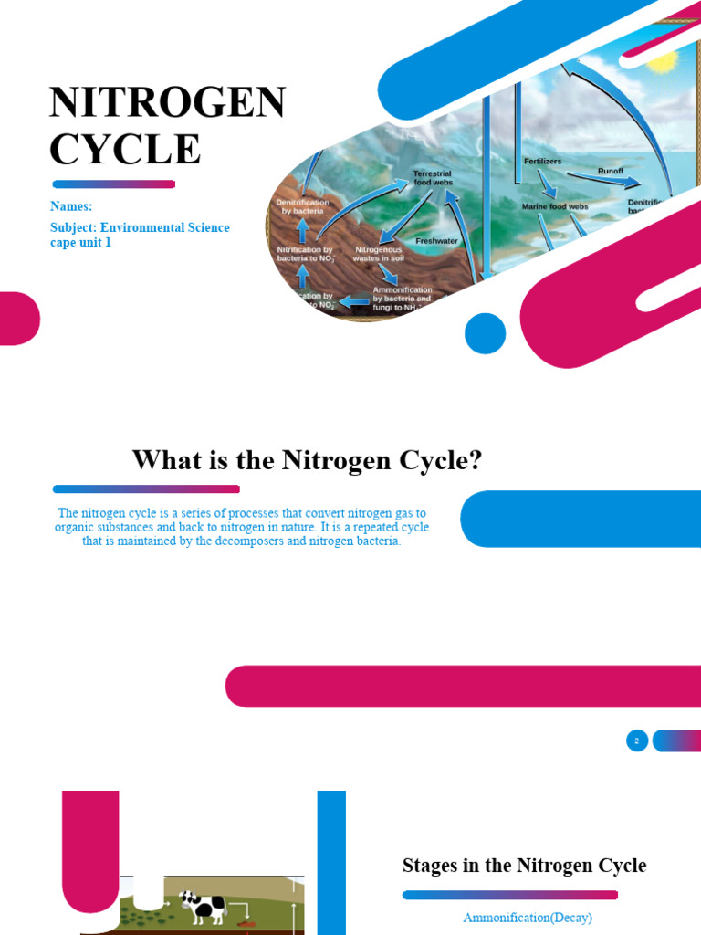 Understanding the Nitrogen Cycle | PDF | Nitrogen | Soil Science