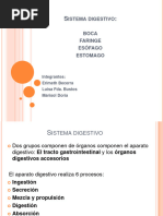 ESÒFAGO (Anatomía, Embriología, Histología y Fisiología) | PDF ...